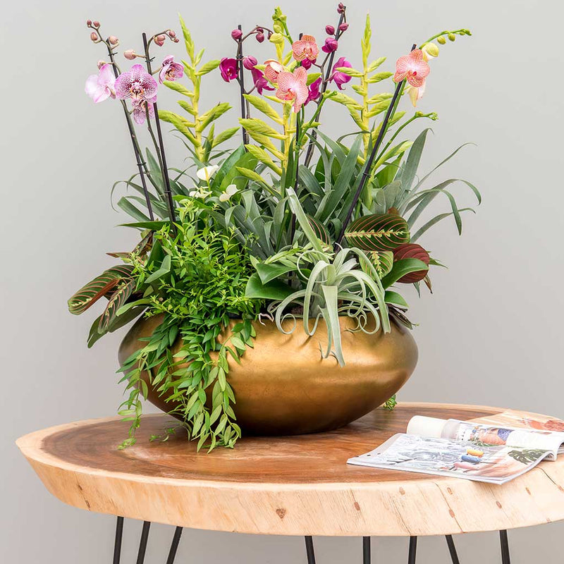 The Metallic Planter Collection | Hortology Planters - HORTOLOGY