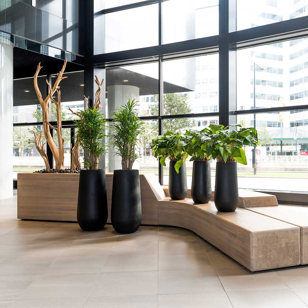 Nax Natural Tall Planter - Black Planters | Hortology - HORTOLOGY