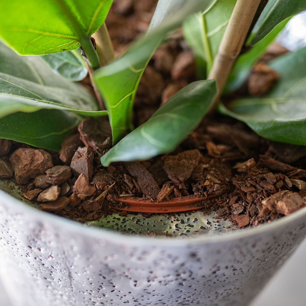 Naya Tall Metal Planter - Silver - Quality Indoor Pots | HORTOLOGY