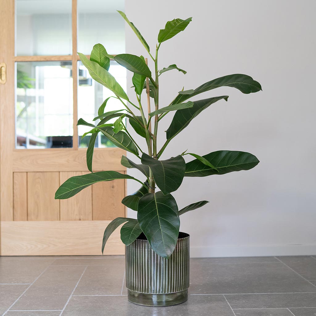 Nella Plant Pot - Forest - Quality Metal Plant Pots | Hortology
