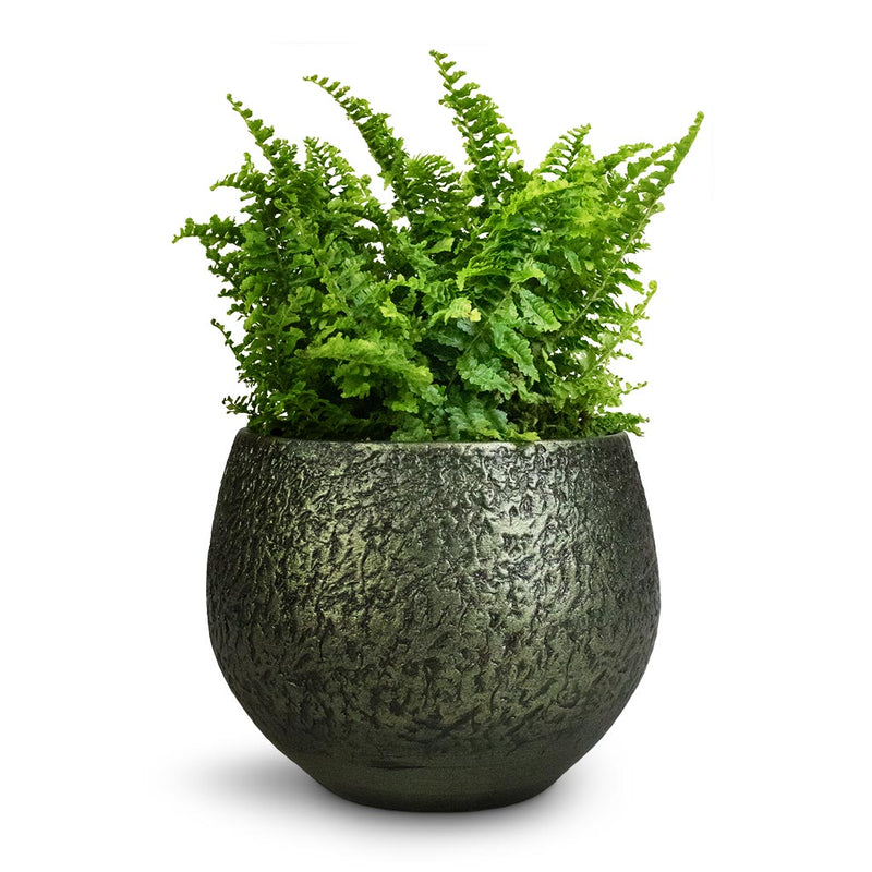 Noor Plant Pot - Velvet Green - Quality Plant Pots | Hortology
