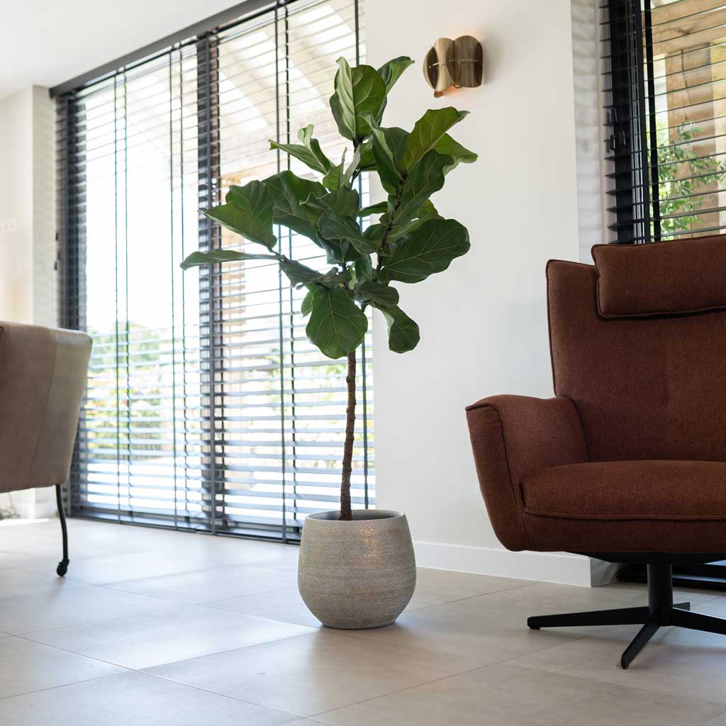 Noor Plant Pot - Metallic Grey - Quality Plant Pots | Hortology - HORTOLOGY