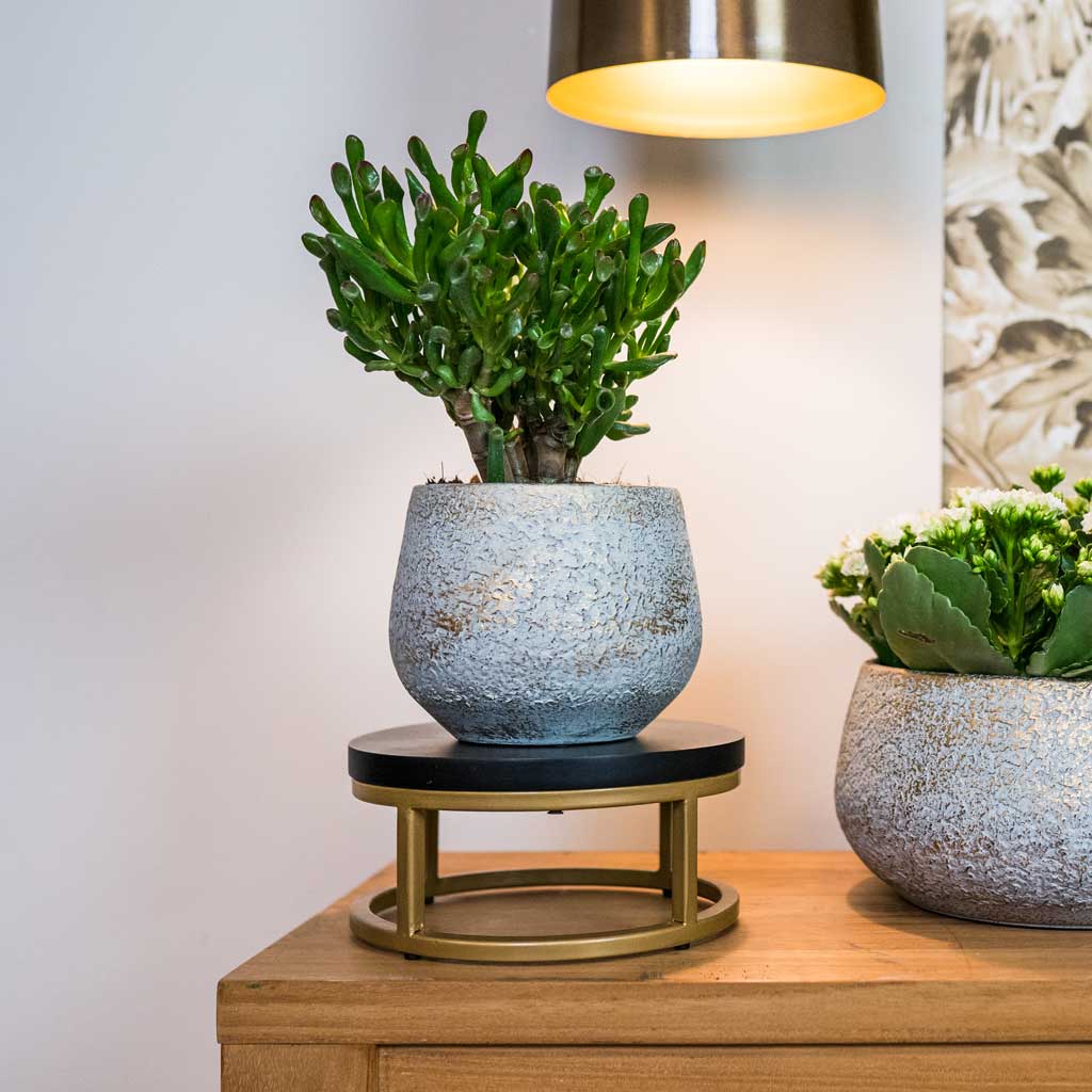 Noor Plant Pot - Metallic Grey - Quality Plant Pots | Hortology - HORTOLOGY