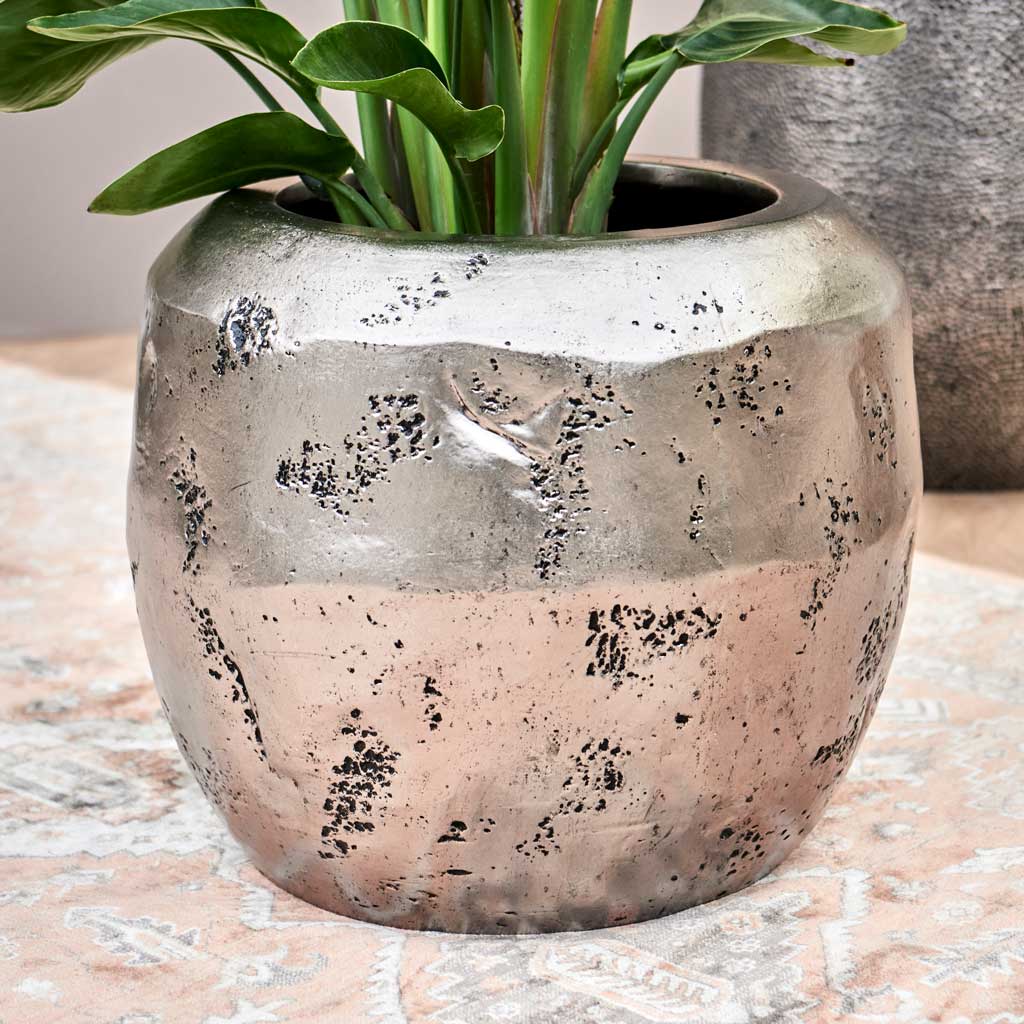 Opus Raw Couple Planter - Silver - Quality Planters | Hortology - HORTOLOGY
