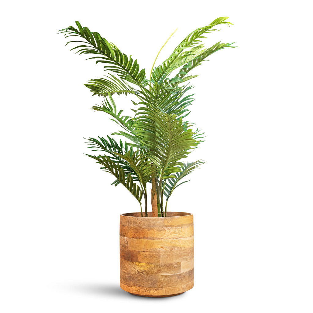 Helle Plant Pot - Natural - Mango Wood Plant Pots | Hortology - HORTOLOGY