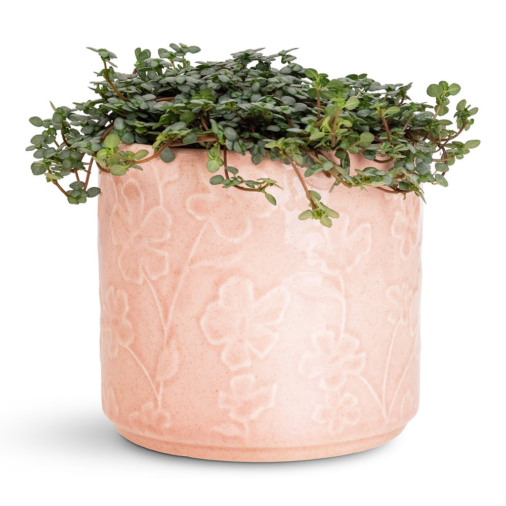 Betsy Embossed Plant Pot - Floral Pink | HORTOLOGY