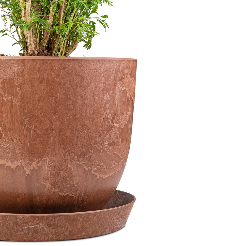 Claire Artstone Flower Pot Saucer - Oak - Plant Saucers | Hortology