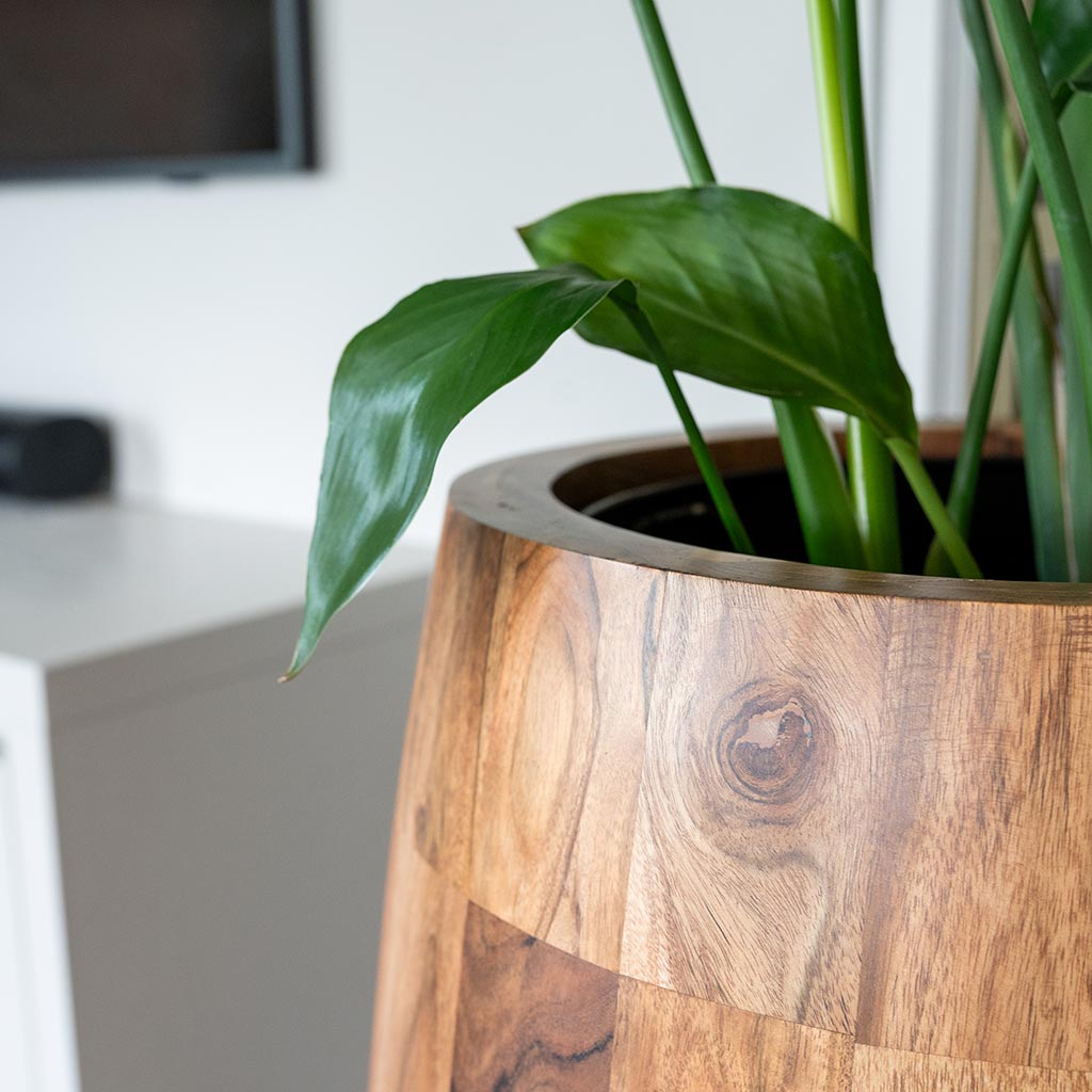 Quinn Tall Planter - Natural - Quality Wooden Planters | Hortology ...