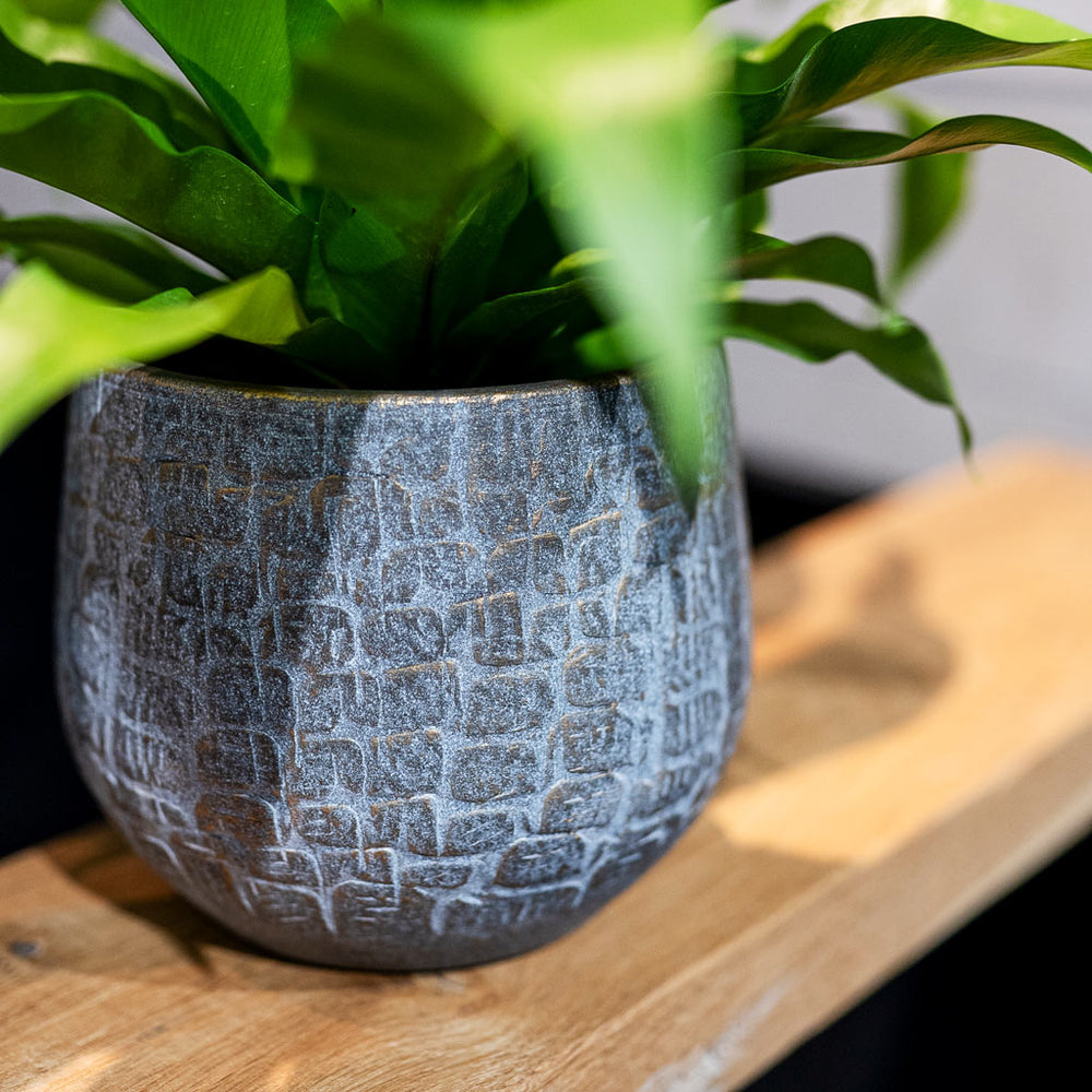 Renzo Plant Pot - Shiny Slate - Quality Plant Pots | HORTOLOGY