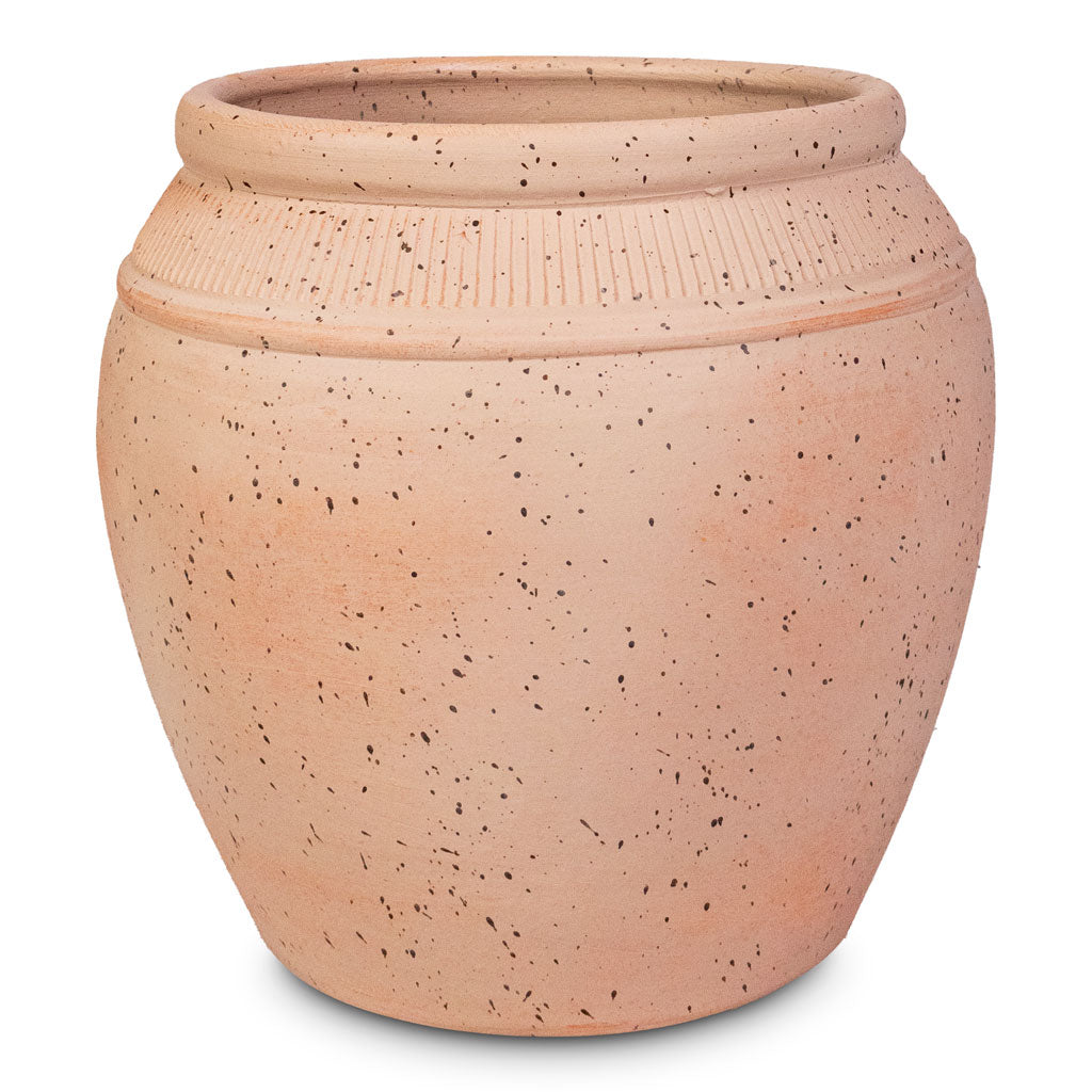 Rhea Plant Pot - Terracotta - Quality Terracotta Pots | HORTOLOGY