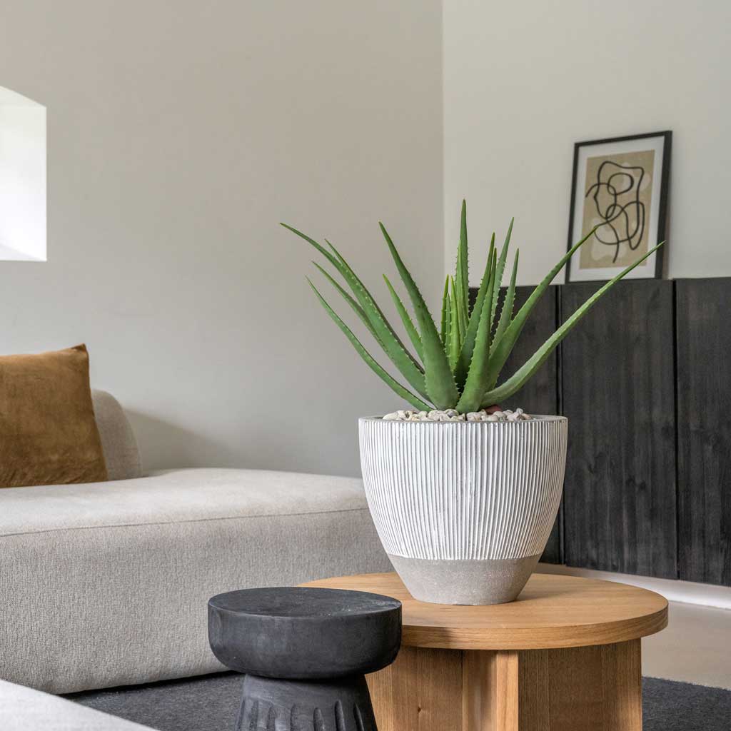 Jesslyn Ridged Plant Pot - White Stripe - Quality Planters | Hortology ...