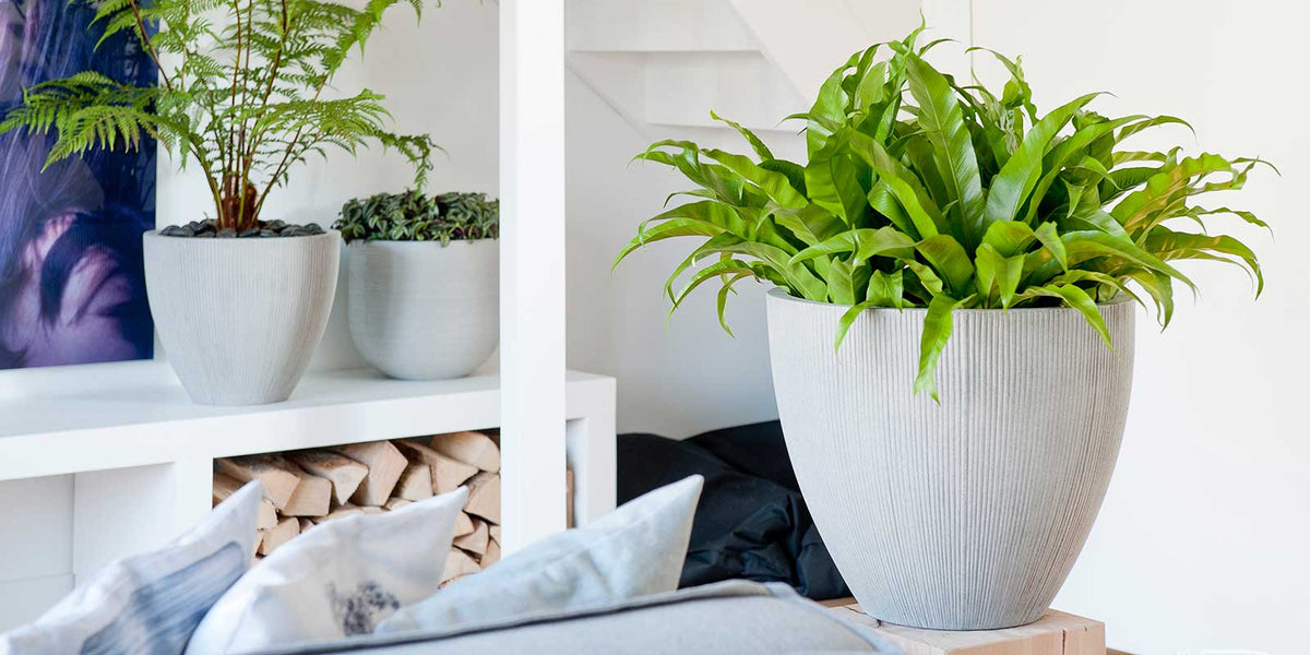 The Ridged Planters Lookbook - HORTOLOGY