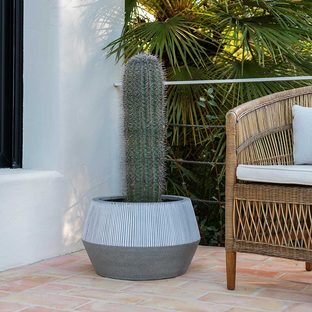 Harley Low Ridged Plant Pot - White Stripe - Quality Plant Pots ...