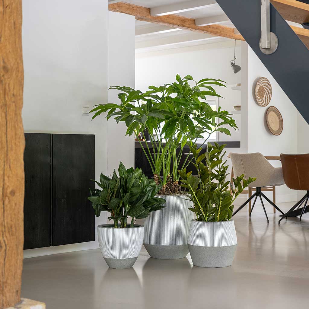 Jesslyn Ridged Plant Pot - White Stripe - Quality Planters | Hortology ...