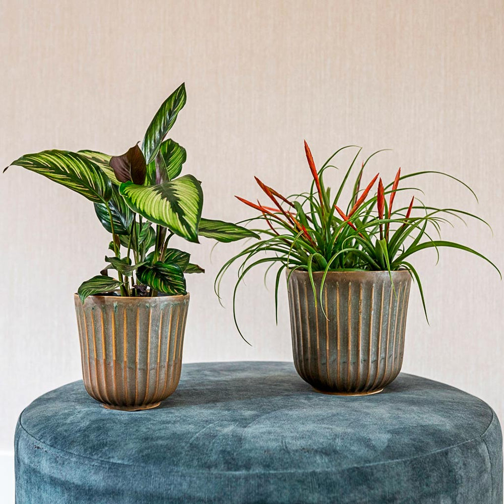 Roger Plant Pot - Thyme - Quality Plant Pots | HORTOLOGY