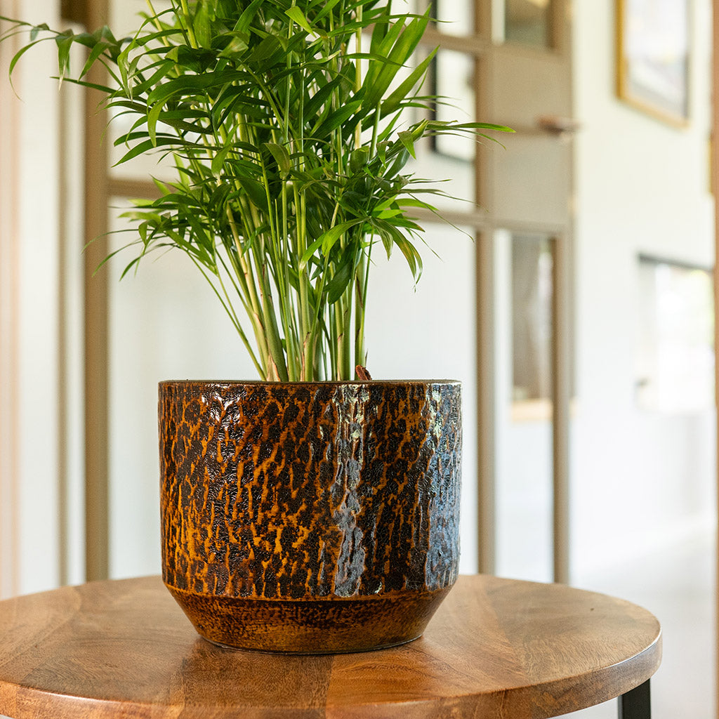 Sanna Plant Pot - Savanna - Quality Indoor Plant Pots | Hortology ...