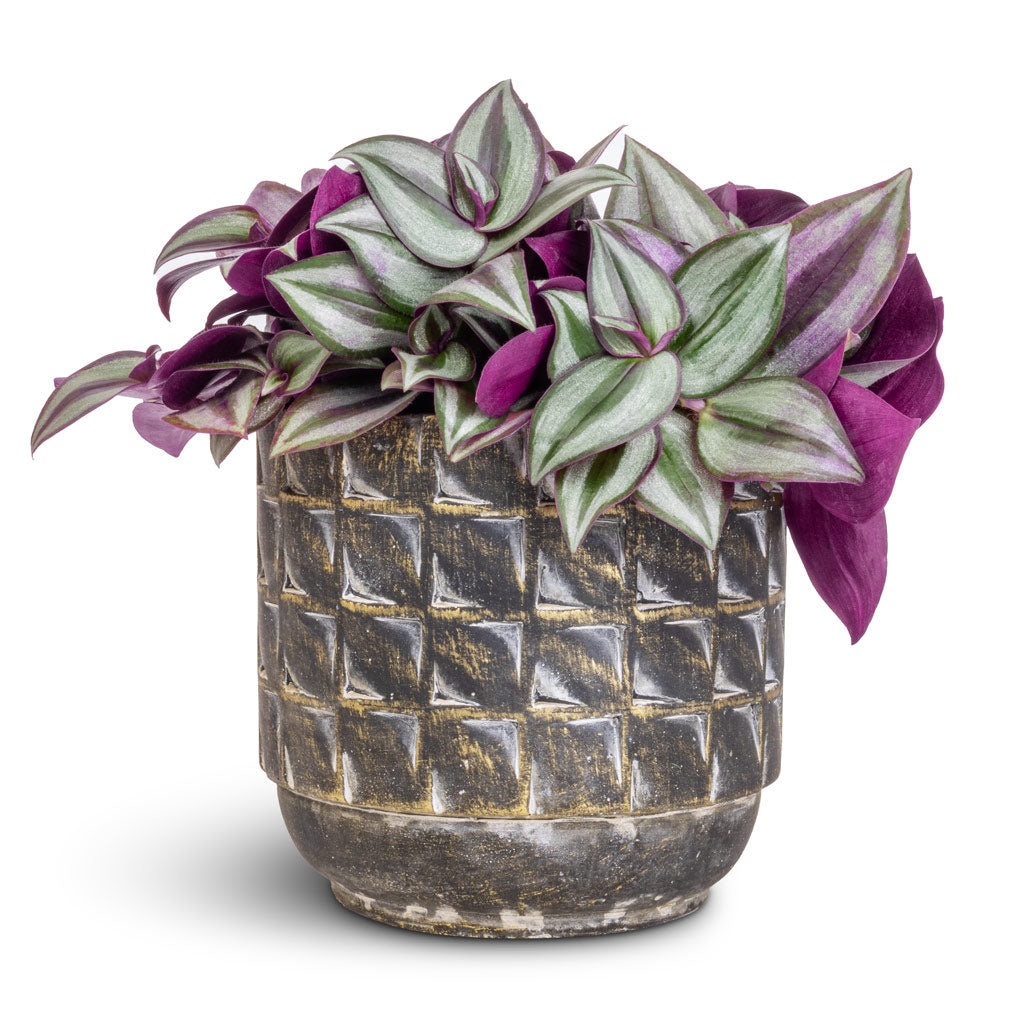Jim Plant Pot - Earth - Quality Indoor Plant Pots | Hortology - HORTOLOGY