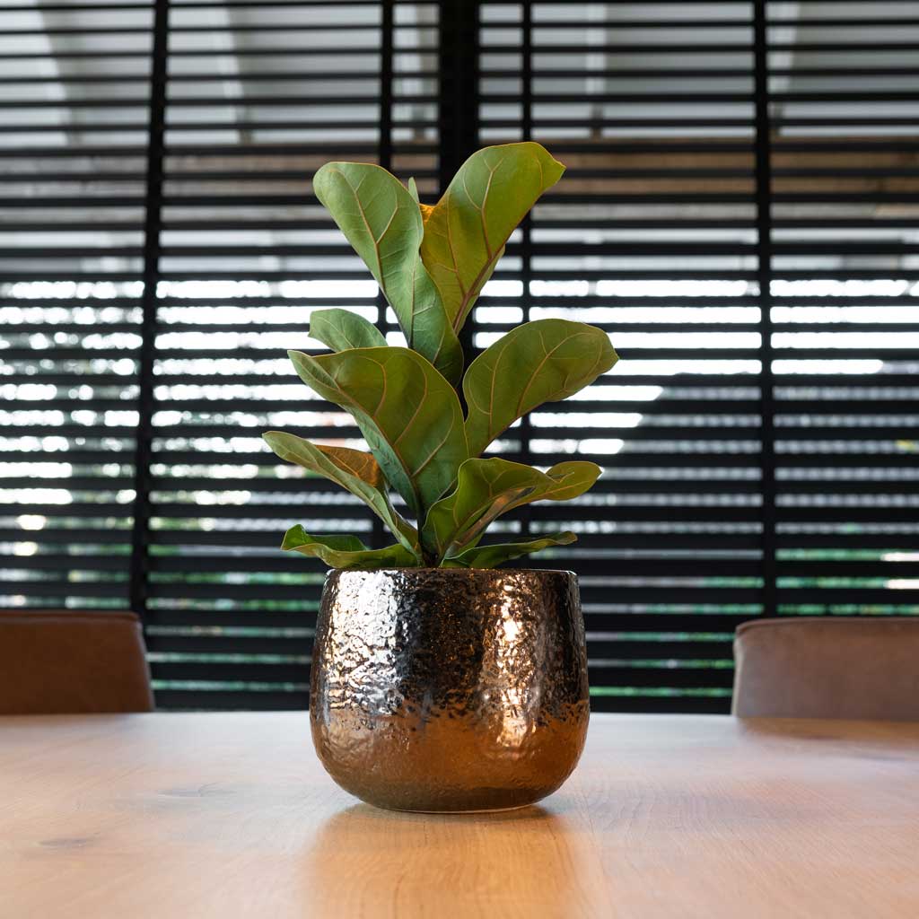 Yvette Plant Pot - Gold - Quality Plant Pots | Hortology - HORTOLOGY