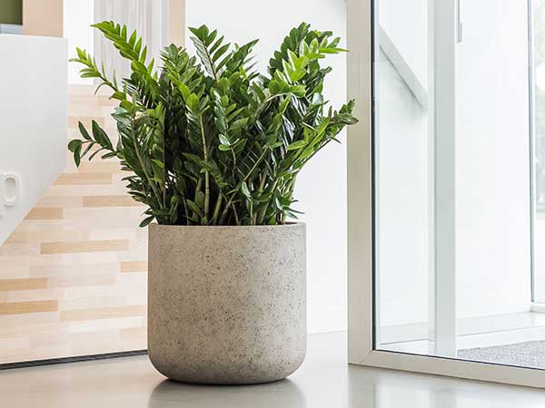 XL Outdoor Planters - Extra Large Garden Planters - Hortology