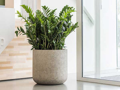 XL Outdoor Planters - Extra Large Garden Planters - Hortology