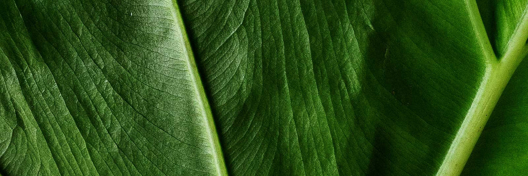 Chevron Plant Pot - Ruby - Quality Plant Pots | HORTOLOGY