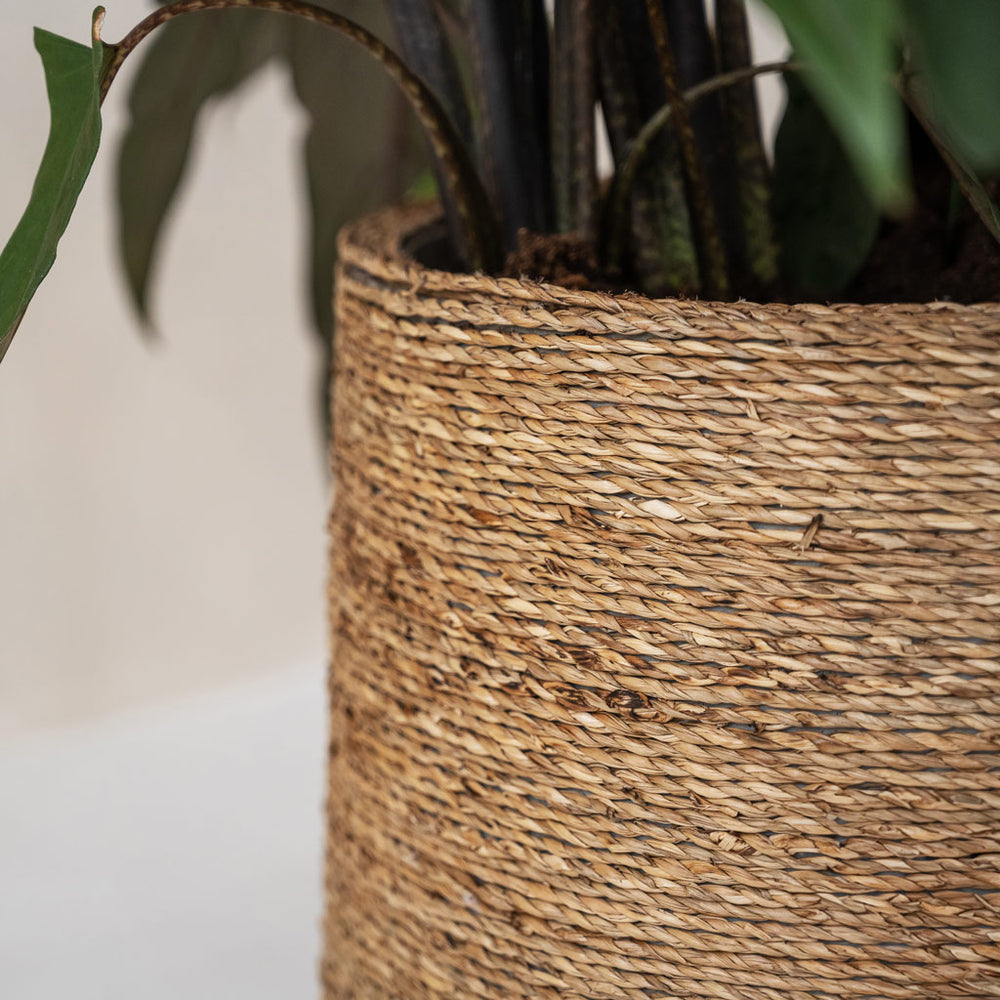 Patt Plant Pot - Straw Grass - Quality Plant Pots | Hortology - HORTOLOGY