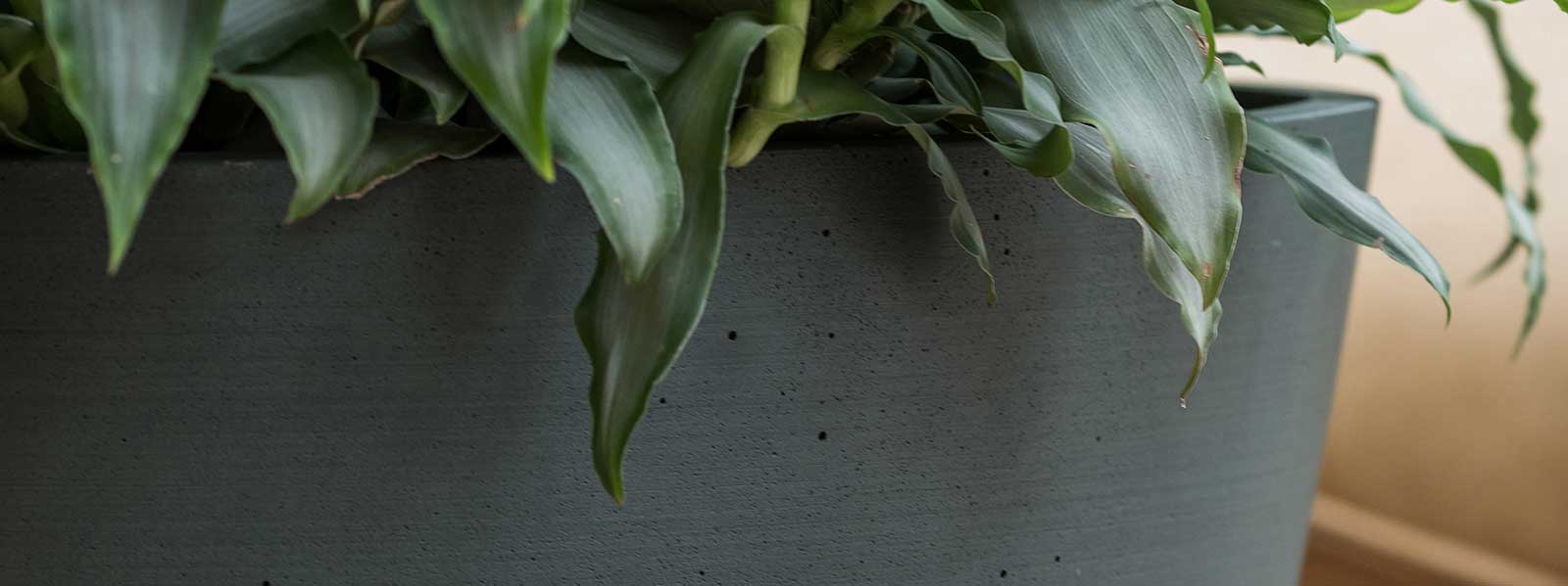 Max Refined Planter - Volcano Black - Quality Planters | Hortology ...