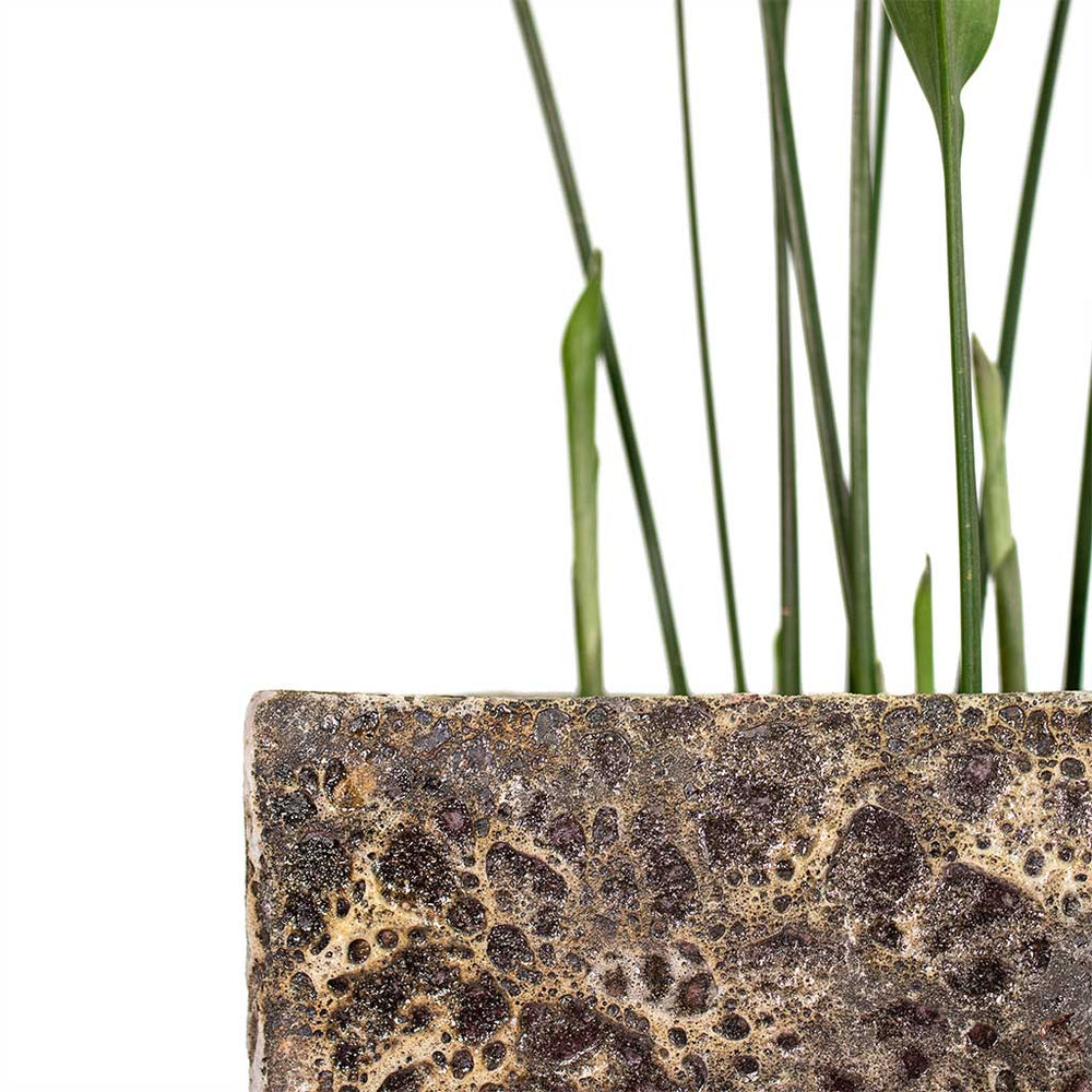 Lava Cube Relic Planter - Rust - Quality Planters | Hortology - HORTOLOGY