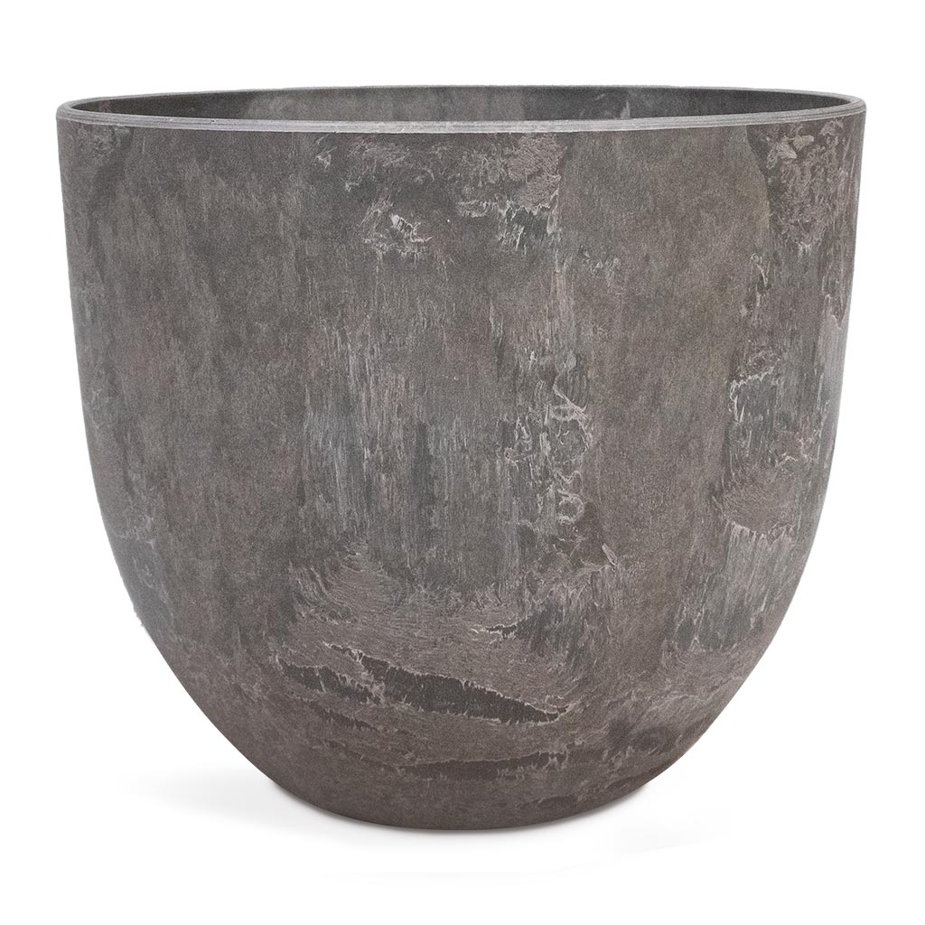 XL Indoor Planters - HORTOLOGY