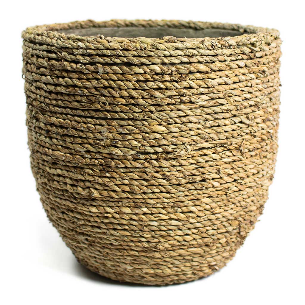Cody Plant Pot - Straw Grass - Quality Plant Pots | Hortology - HORTOLOGY