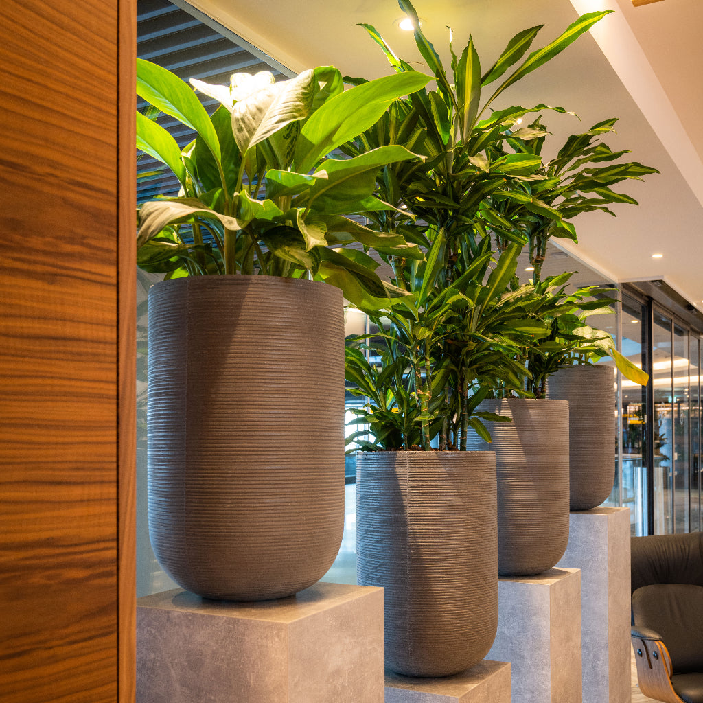 Cody Ridged Tall Planter - Dark Grey - Quality Plant Pots | Hortology ...