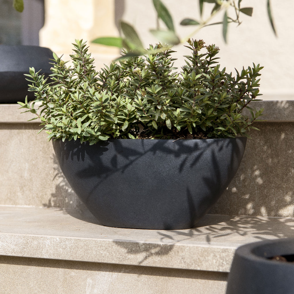 Dorant Natural Planter - Black - Quality Planters | Hortology - HORTOLOGY