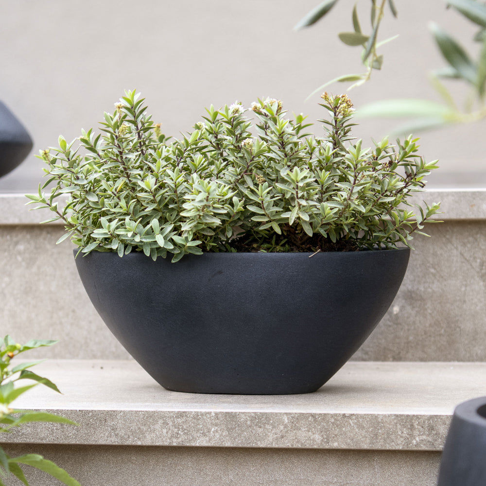 Dorant Natural Planter - Black - Quality Planters | Hortology - HORTOLOGY
