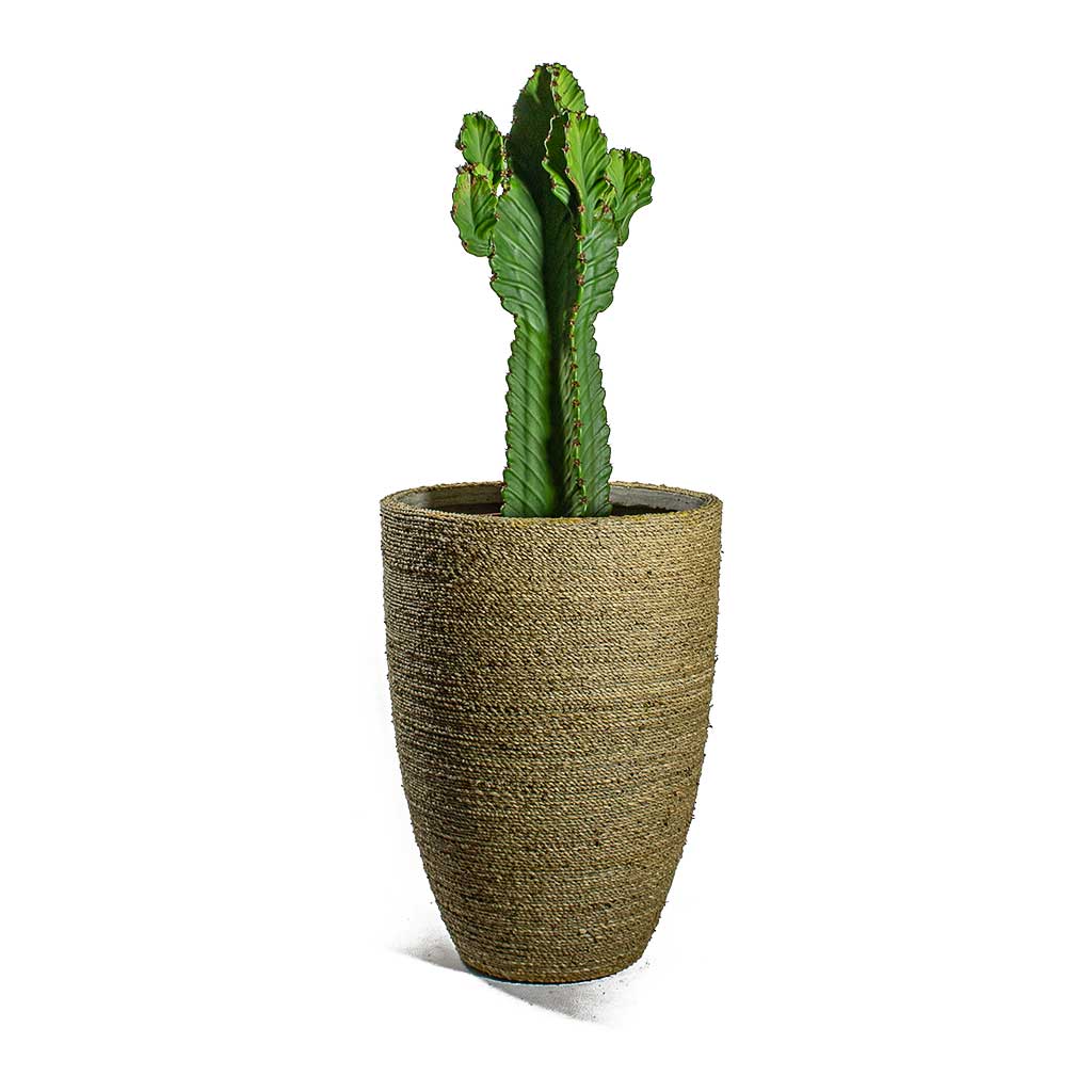 Ben Plant Pot - Straw Grass - Quality Plant Pots | Hortology - HORTOLOGY