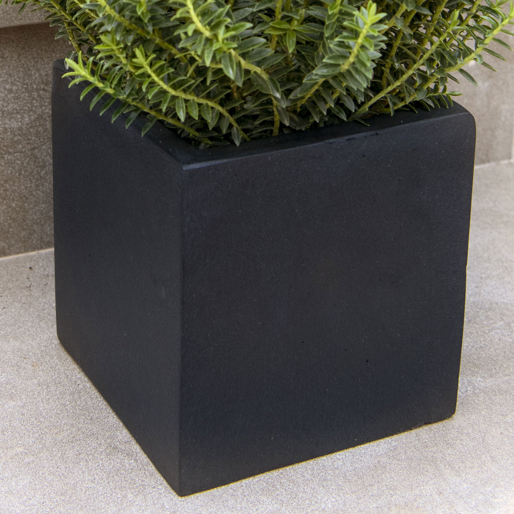 Fleur Natural Planter - Black - Quality Planters | Hortology - HORTOLOGY