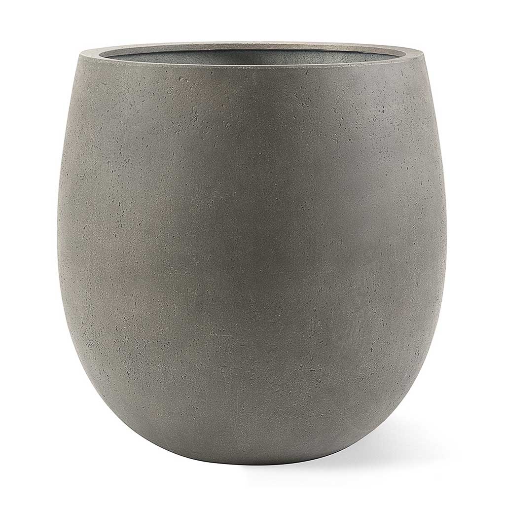 Grigio Balloon Planter - Natural Concrete | Hortology Planters - HORTOLOGY