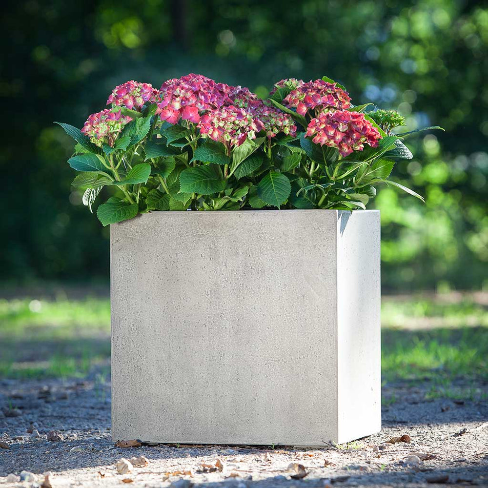 Grigio Cube Planter - Antique White Concrete Planter | Hortology ...
