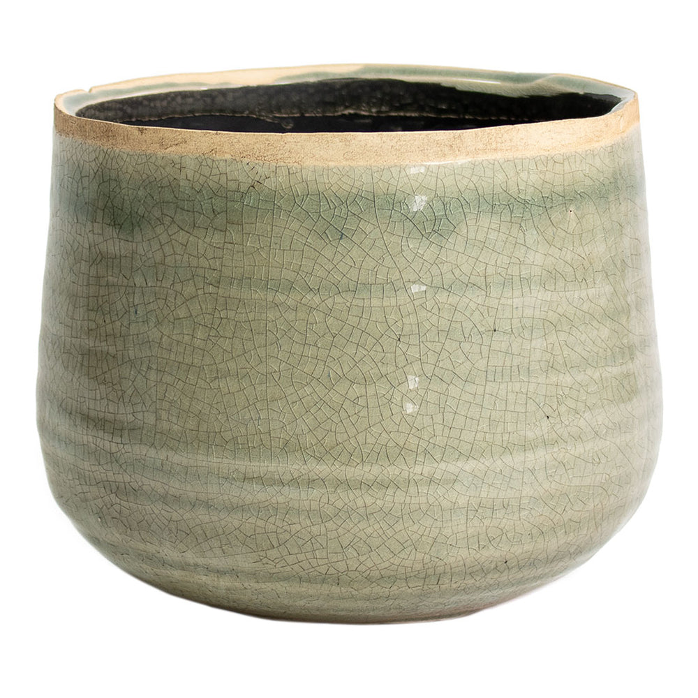 Indoor Plant Pots - Quality Indoor Plant Pots - Hortology - HORTOLOGY