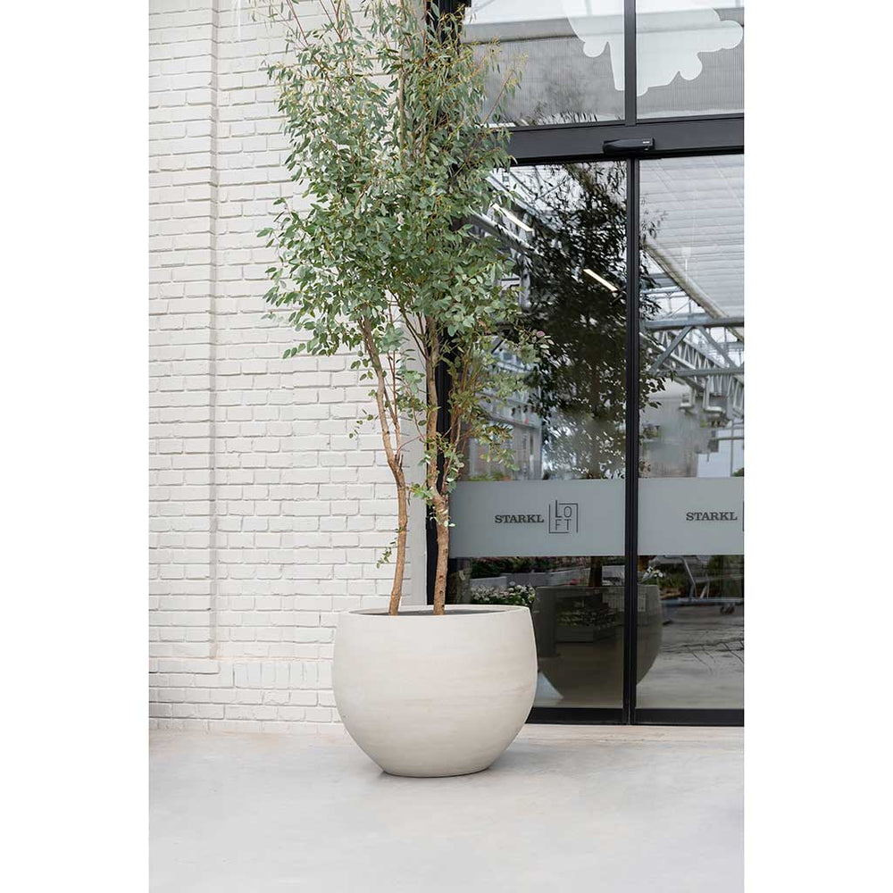 Jumbo Orb Planter - Stone Washed Concrete - Large Planters | Hortology ...