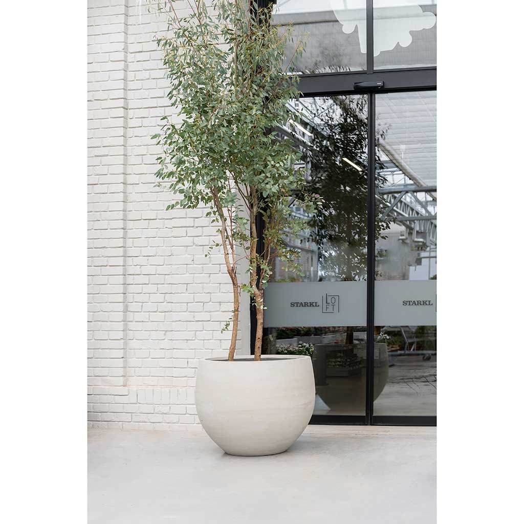 Jumbo Orb Planter - Stone Washed Concrete - Large Planters | Hortology ...