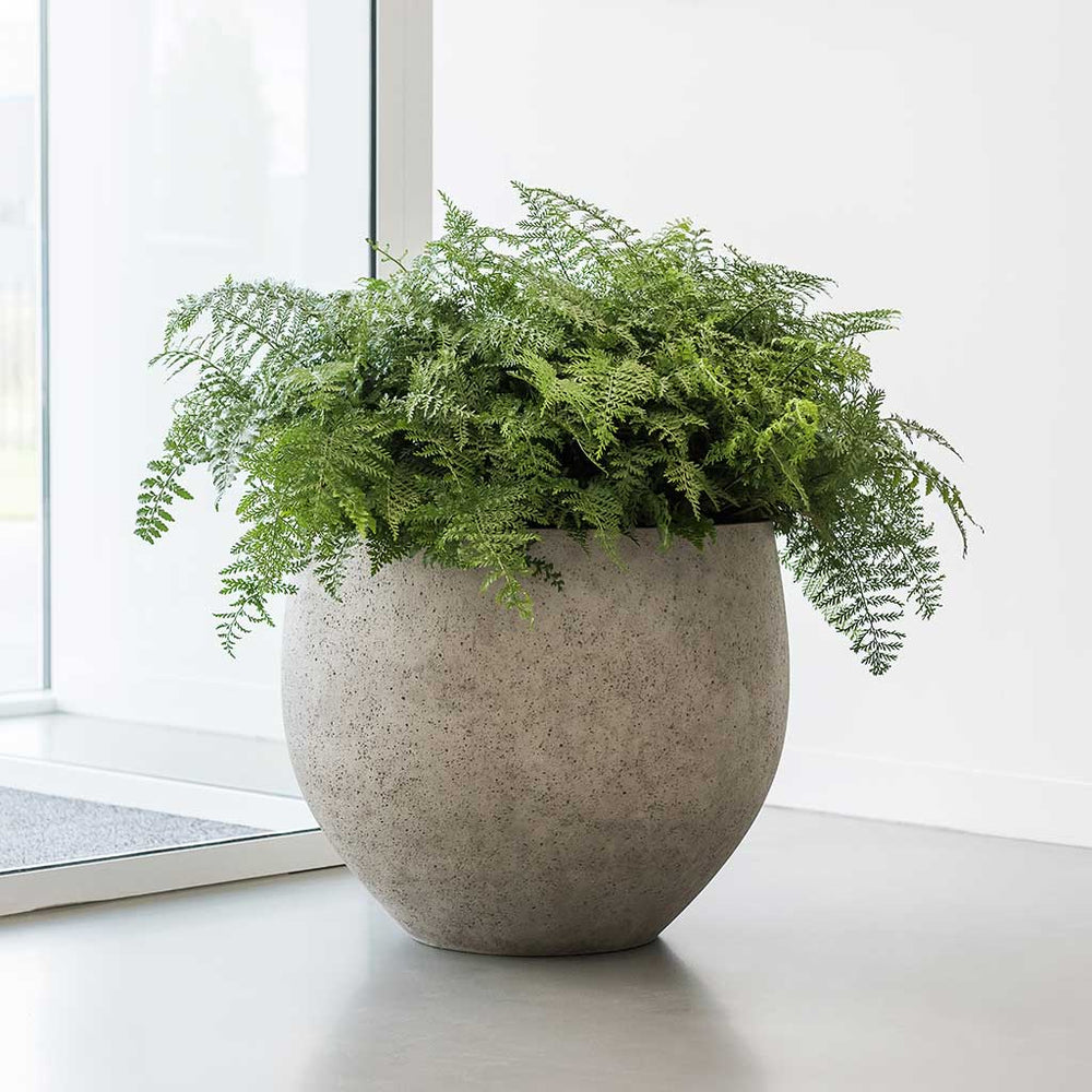 Jumbo Orb Planter - Stone Washed Concrete - Large Planters | Hortology ...