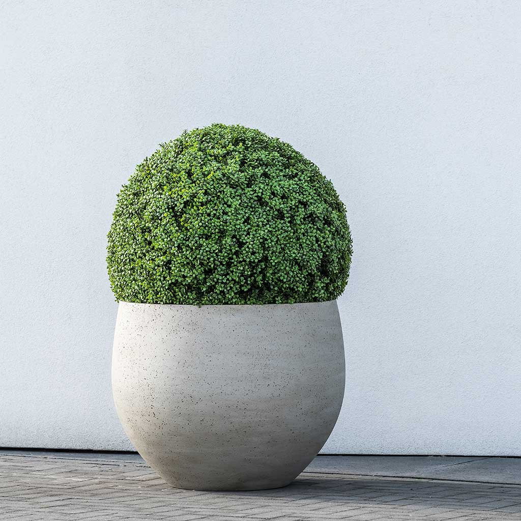 Jumbo Orb Planter - Stone Washed Concrete - Large Planters | Hortology ...