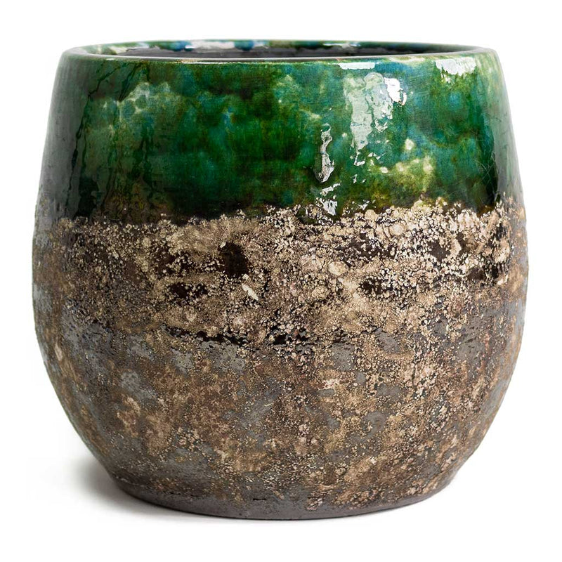 Green Indoor Plant Pots - Quality Indoor Plant Pots | Hortology - HORTOLOGY