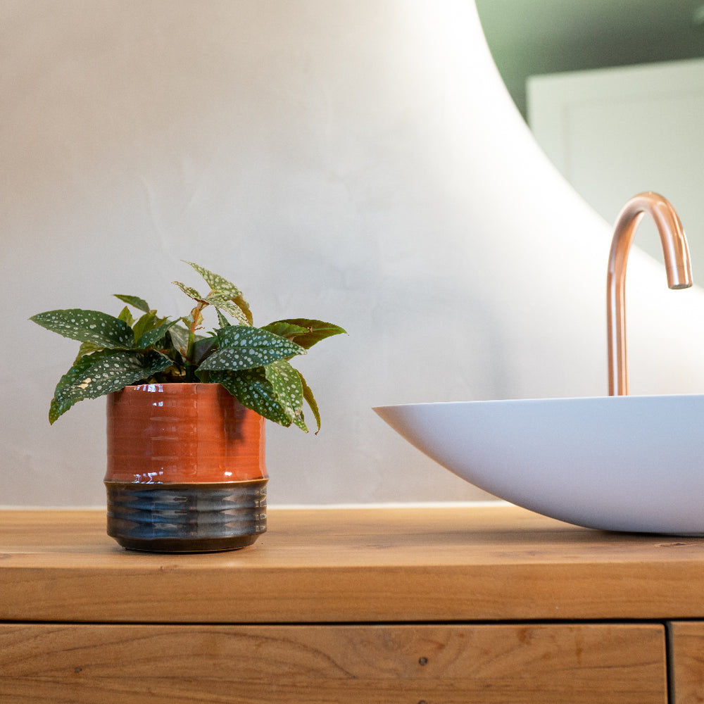 Marlijn Two Tone Ceramic Plant Pot - Coral | Hortology - HORTOLOGY