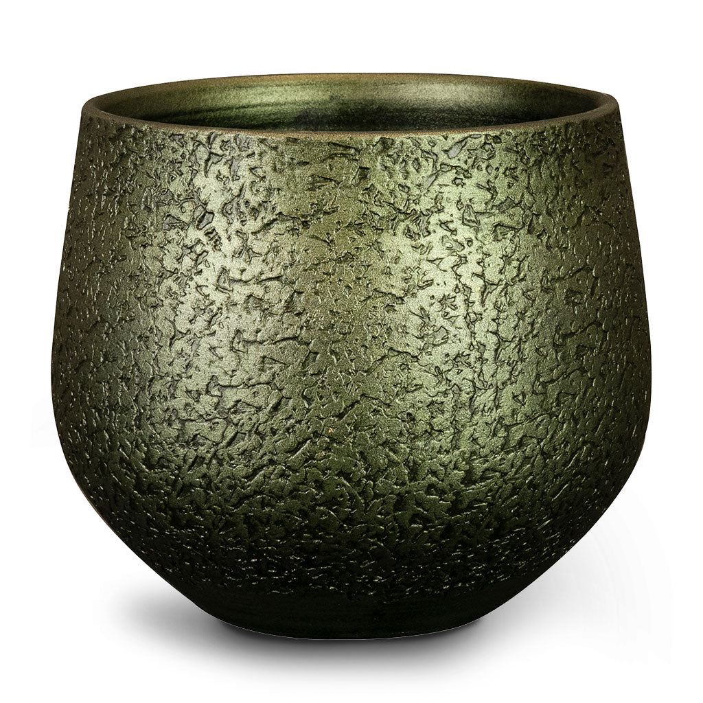 Green Indoor Plant Pots - Quality Indoor Plant Pots | Hortology - HORTOLOGY
