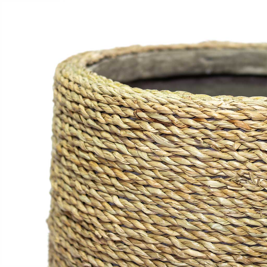 Patt Plant Pot - Straw Grass - Quality Plant Pots | Hortology - HORTOLOGY