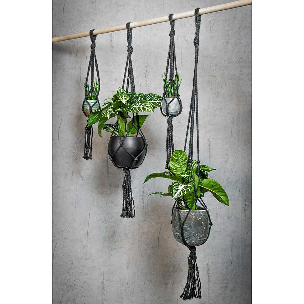 Plant Pot Knotted Macrame Hanging Rope - Black - 90cm | Hortology ...