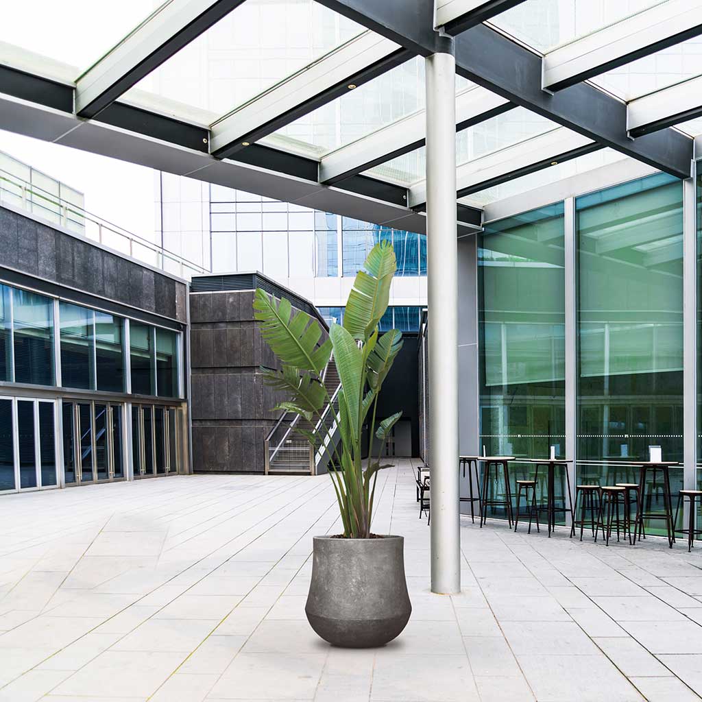 Polystone Coated Darcy Planter - Raw Grey Planters | Hortology - HORTOLOGY