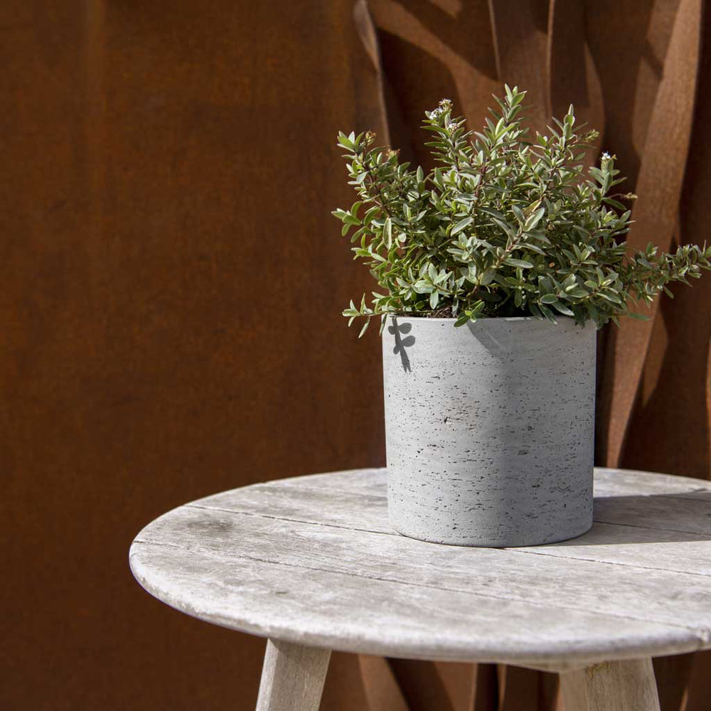 Puk Plant Pot - Grey Washed - Quality Plant Pots | Hortology - HORTOLOGY