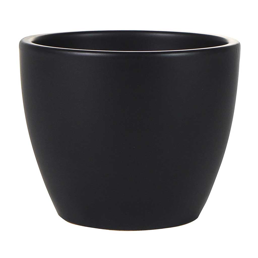 Sven Plant Pot - Black - Quality Indoor Plant Pots | Hortology - HORTOLOGY